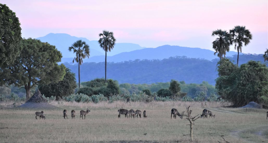 7 reasons to stay away from Malawi » 1-2 Travel Africa