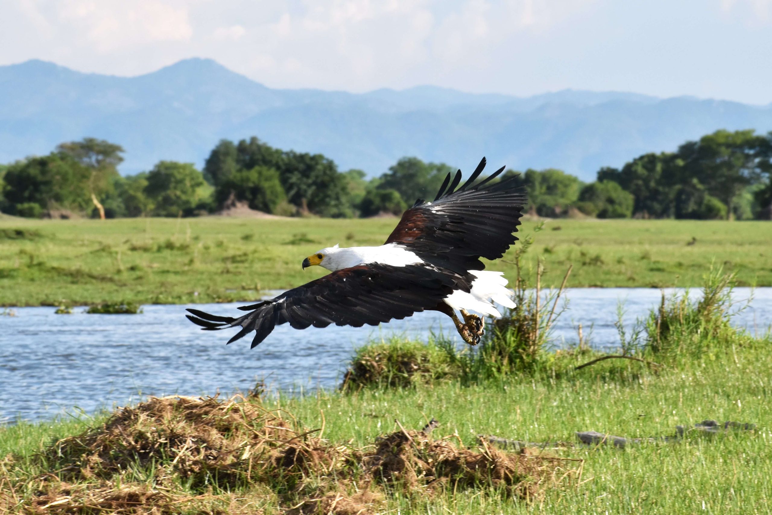 Blog » 1 2 Travel Africa